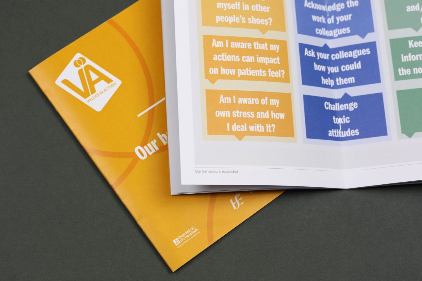 The HSE: Values in Action – M-CO